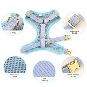 Didog Cute Small Dog Collar Harness & Leash Set, Adjustable Dog Collars and Leashes with Bowtie, Breathable Soft Mesh Padded Dog Vest for Puppies Small Dogs Walking,Blue, M