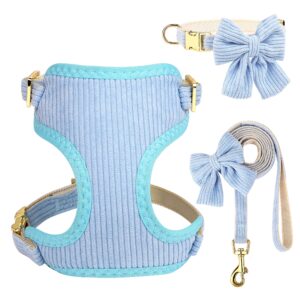 Didog Cute Small Dog Collar Harness & Leash Set, Adjustable Dog Collars and Leashes with Bowtie, Breathable Soft Mesh Padded Dog Vest for Puppies Small Dogs Walking,Blue, M