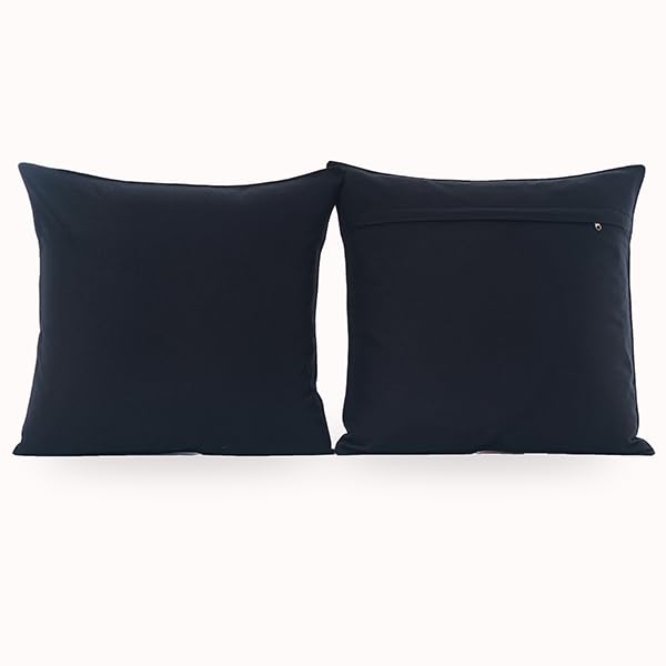 NiNi ALL Outdoor Waterproof Throw Pillow Covers Set of 2 Decorative Farmhouse Garden Pillowcase Solid Cushion Cases for Patio Tent Couch 18x18 inch Black