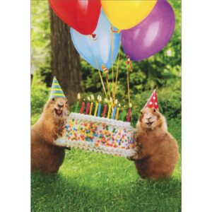 avanti press two prairie dogs carrying cake and balloons funny/humorous birthday card