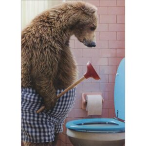 avanti press bear holding toilet plunger over blue toilet gross funny/humorous birthday card