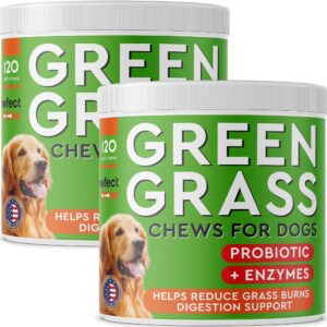 pawfectchew green lawn chews for dogs - green grass chews - urine neutralizer grass burn spots - lawn burn from dog urine - probiotics & enzymes - made in usa - bacon flavor - 240 lawn saver chews