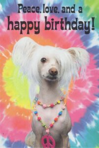 heartline funny hippie dog happy birthday card - peace, love, and a happy birthday! right on!