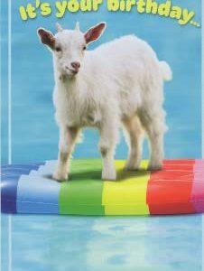 Heartline Funny Goat Themed Happy Birthday Card - It's Your Birthday... Do Whatever Floats Your Goat!