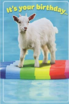 Heartline Funny Goat Themed Happy Birthday Card - It's Your Birthday... Do Whatever Floats Your Goat!