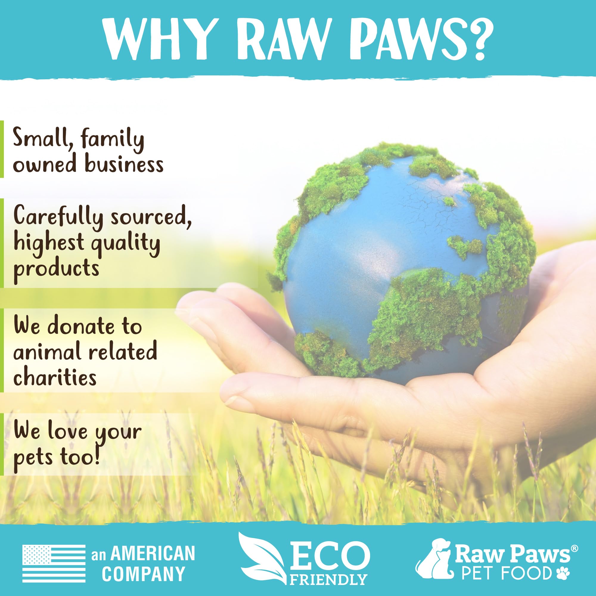 Raw Paws Signature Pet Food for Dogs & Cats - Green Lamb Tripe, 1-lb Rolls (20 Pack) - Fresh Pet Food Made in USA - Natural Dog Food Rolls - Raw Frozen Dog Food – Green Lamb Tripe for Dogs & Cats