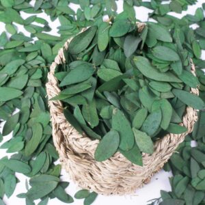 3500+ small preserved real eucalyptus leaves - 100% natural dried eucalyptus bulk, biodegradable wedding fresh leaves for anniversaries, confetti, flower girl petal, bridal showers, party decor