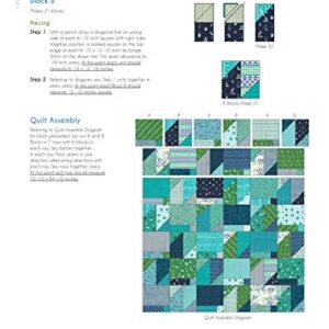 Thimbleberries Quilts with a New Attitude: 23 Tried and True Quilt Designs Made in Both Traditional and Modern Fabrics (Landauer) Quilting Projects for Either Classic Colors or Cotton+Steel Fabrics