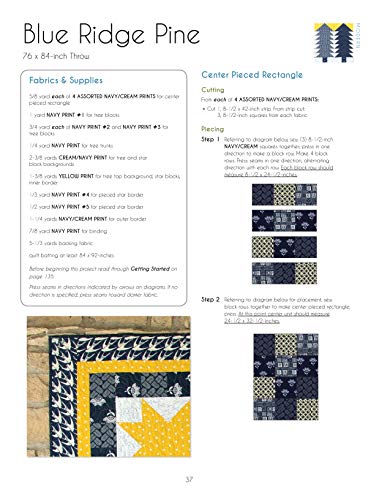 Thimbleberries Quilts with a New Attitude: 23 Tried and True Quilt Designs Made in Both Traditional and Modern Fabrics (Landauer) Quilting Projects for Either Classic Colors or Cotton+Steel Fabrics