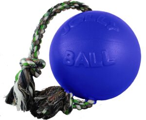 jolly pets romp-n-roll rope and ball dog toy, 8 inches/large, blue, model:608 bl