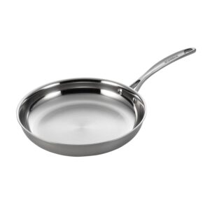 scanpan fusion 5 stainless 10" fry pan