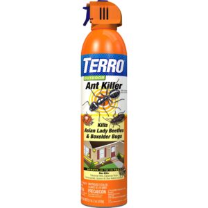 terro t1700 19 oz. outdoor ant killer spray, 1 pack, orange