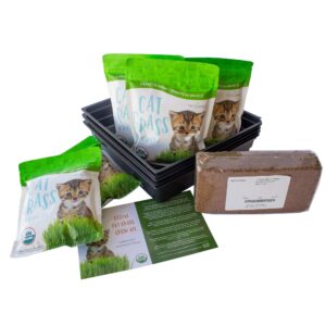 deluxe organic cat grass kit - includes 5 pounds of organic cat grass seeds, minute soil coco coir, trays, instructions - enough to grow five 10x10 trays of wheat grass for cats, dogs, & other pets