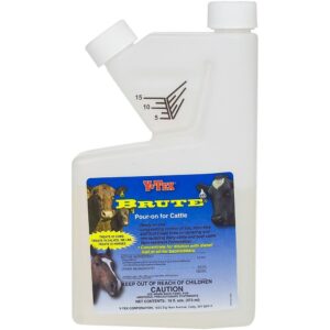 brute 16oz insecticide