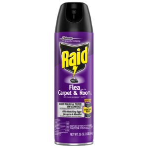 raid flea killer, kills fleas, crickets, roaches, silverfish and ticks, use in your home or on your dog, 16 oz