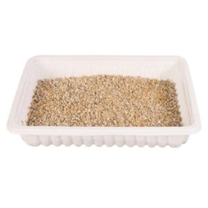 Trixie Cat Grass 100G (Including Tray)