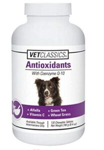 vet classics antioxidants with coenzyme q-10 for dogs, with alfalfa, green tea, vitamin c, & wheat grass, 120 chewable tablets