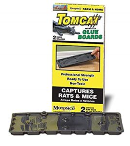 tomcat 32423 rat size glue boards, 2 pack mouse glue traps