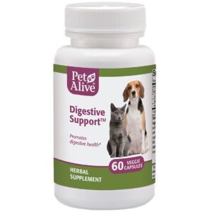 petalive digestive support - all natural herbal supplement for cat and dog digestive tract health - 60 veggie caps