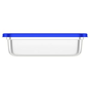 Ziploc Container with One Press Seal, Large Rectangle, 2 ct