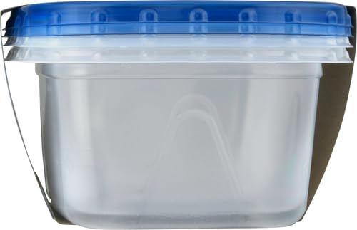 Ziploc Container with One Press Seal, Large Rectangle, 2 ct