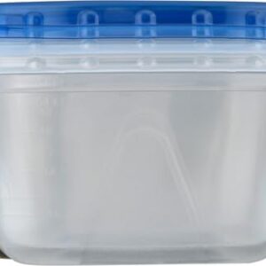 Ziploc Container with One Press Seal, Large Rectangle, 2 ct