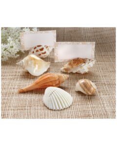 "shells by the sea" authentic shell placecard holders with matching placecards (set of 6)