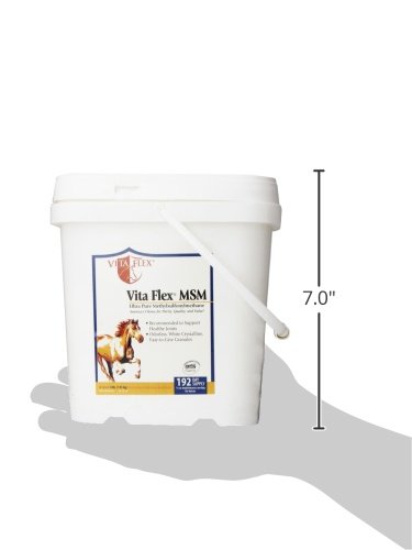 Vita Flex Pro Horse MSM Quality Joint Supplement, 4 Pounds