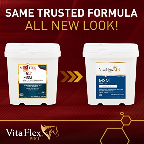 Vita Flex Pro Horse MSM Quality Joint Supplement, 4 Pounds