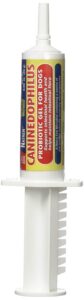 natren canine-dophilus probiotics gel for dogs - animal probiotic for digestive health and maintains intestinal flora