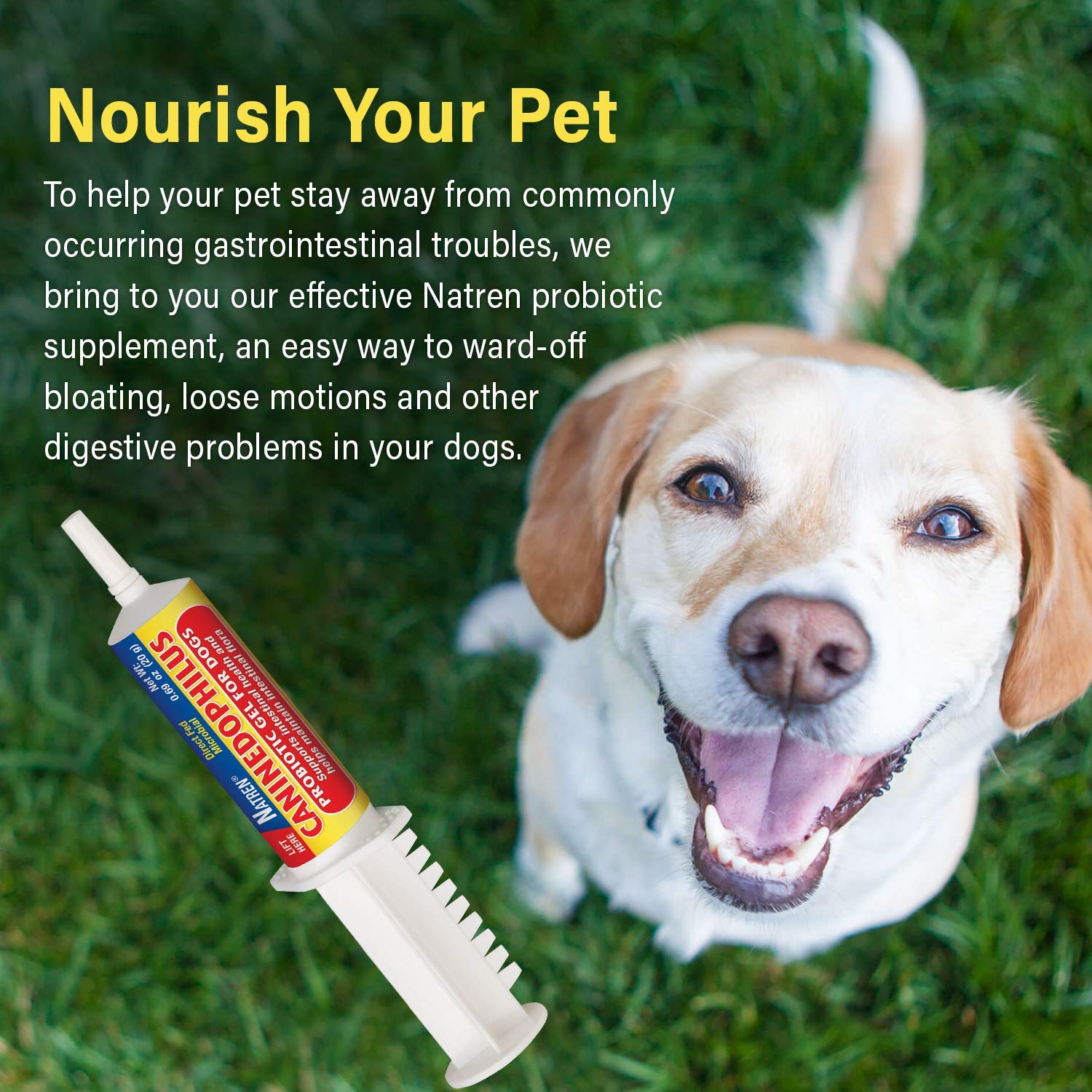 Natren Canine-Dophilus Probiotics Gel for Dogs - Animal Probiotic for Digestive Health and Maintains Intestinal Flora