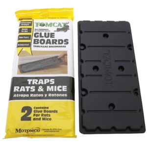 tomcat glue board value pack rat and mouse trap