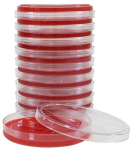 blood agar, 10 percent sheep blood in tryptic soy agar (tsa) base, 15x100mm plate, order by the package of 10, by hardy diagnostics