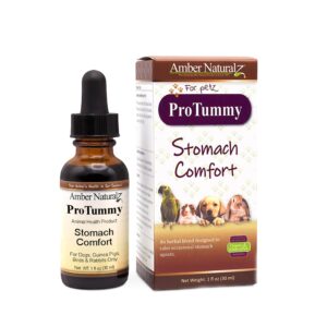 amber naturalz protummy stomach comfort herbal blend for dogs, bird, guinea pigs, and rabbits | herbal supplement for occasional upset stomach | 1 fluid ounce glass bottle | manufactured in the usa