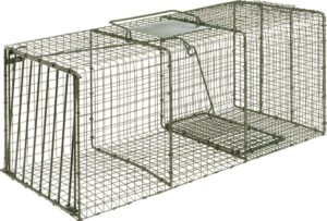 duke traps heavy duty x-large cage trap, 36x15x14