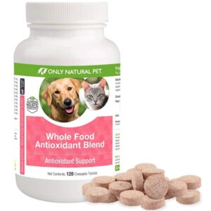 only natural pet whole food antioxidant green tea & berry antioxidant vitamin supplement blend for dogs & cats to support a healthy immune system, fight free radical damage - 60 soft chews