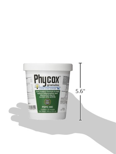 Phycox Granules Canine Joint Support - 16.9 oz