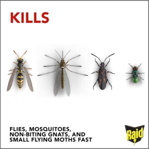 Raid Flying Insect Killer, 15 OZ (Pack - 1)