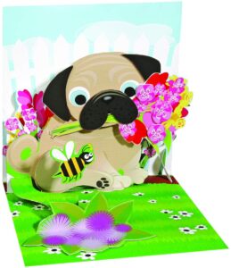 up with paper birthday greeting card for him - pug bouquet pop-up, multicolor (865)