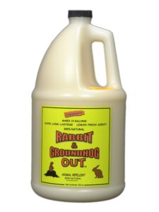 rabbit & groundhog repellent: rabbit out 1 gallon concentrate