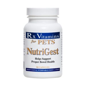 rx vitamins for pets nutrigest for dogs & cats - helps support proper bowel & digestive health - veterinarian formulated probiotic - 90 capsules