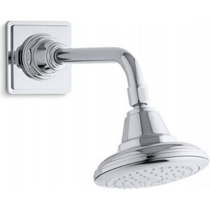 kohler pinstripe sngl-fctn katalyst shwrhd