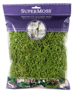 supermoss (26907) spanish moss preserved, grass, 4oz, 120 cubic in bag (appx. 4oz) (7 59834 26907 6)