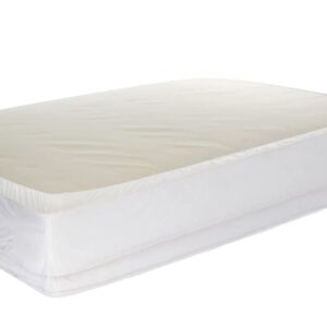 ActiveGuard Mattress Liner Bed Bug (Queen)