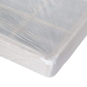 ActiveGuard Mattress Liner Bed Bug (Queen)