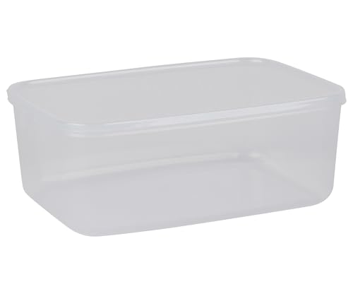 Décor Tellfresh 4L Oblong Food Container | Airtight Lid | Dishwasher Safe | 4L Capacity