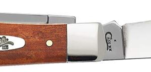 Case WR XX Pocket Knife Chestnut Smooth Bone Trapper Item #28707 - (6254 SS) - Length Closed: 4 1/8 Inches