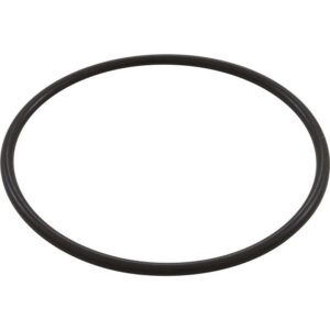 waterway plastics 806105129826 6" trap lid o-ring