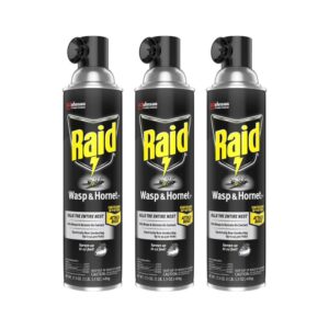 raid wasp and hornet killer, 17.5 oz (pack of 3)