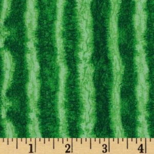 timeless treasures watermelon rind stripe green, fabric by the yard